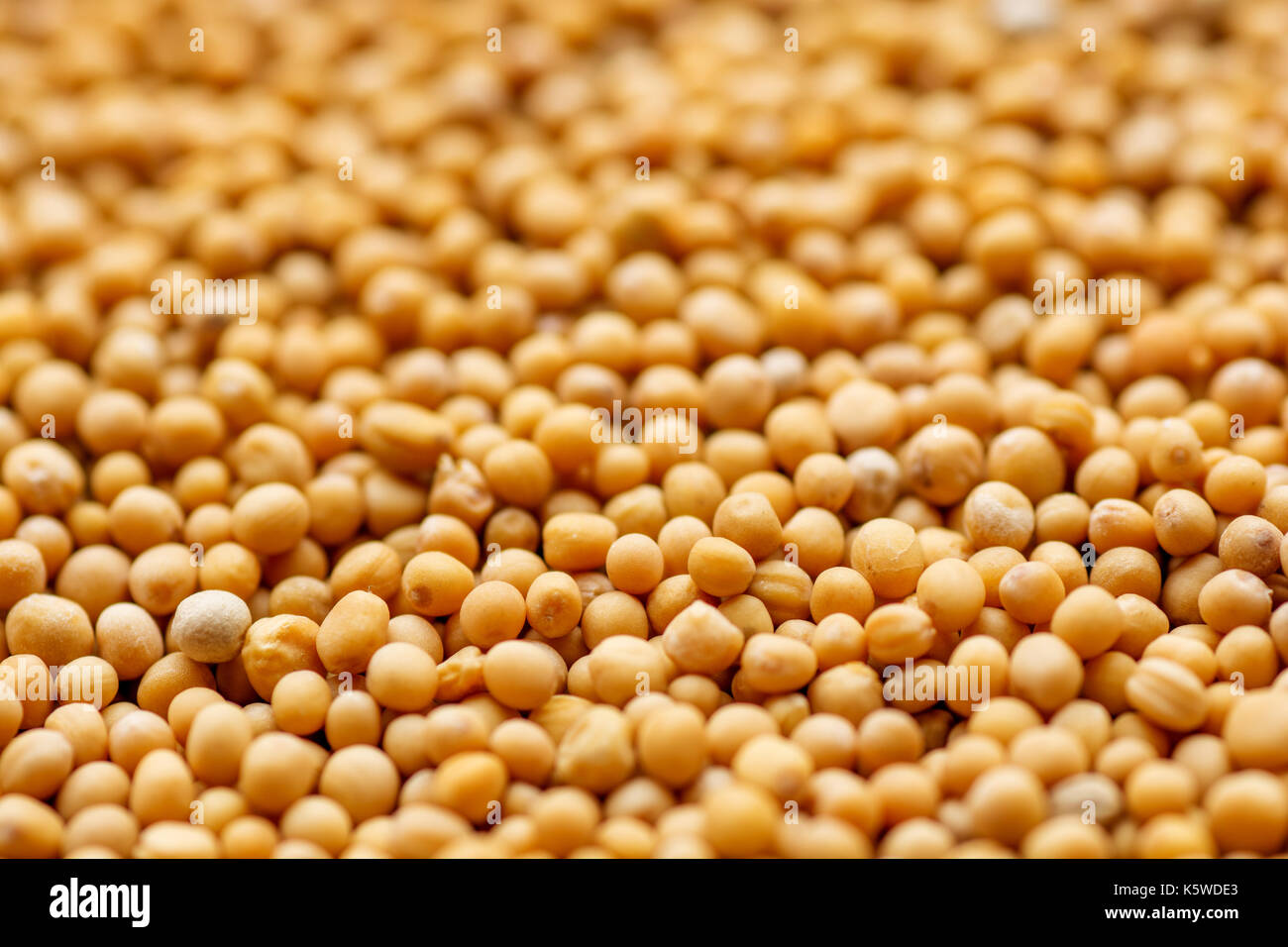 Whole mustard seed hi-res stock photography and images - Alamy
