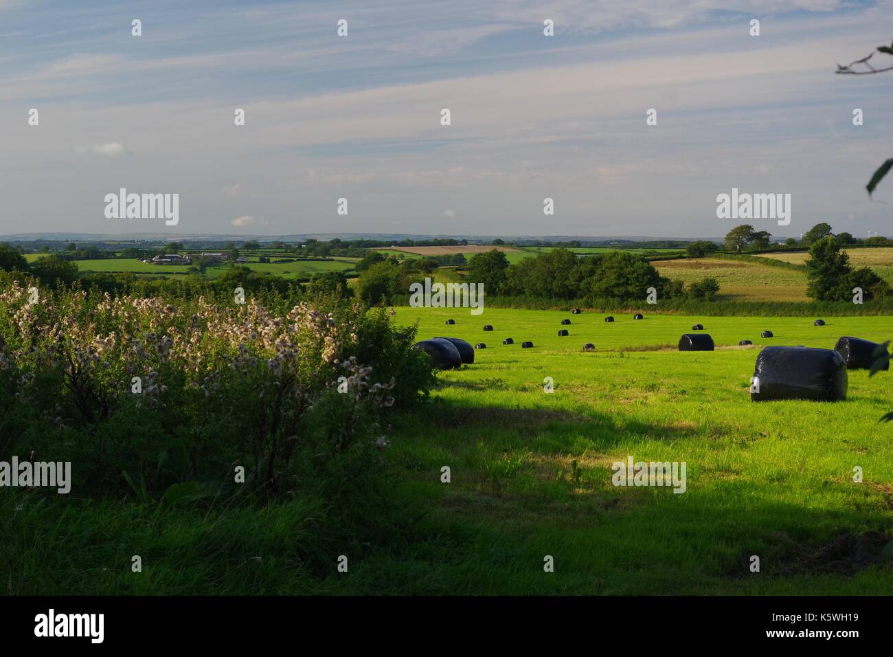 Vibrant Pastoral Farmland After the Summer Harvest. Morchard Bishop ...