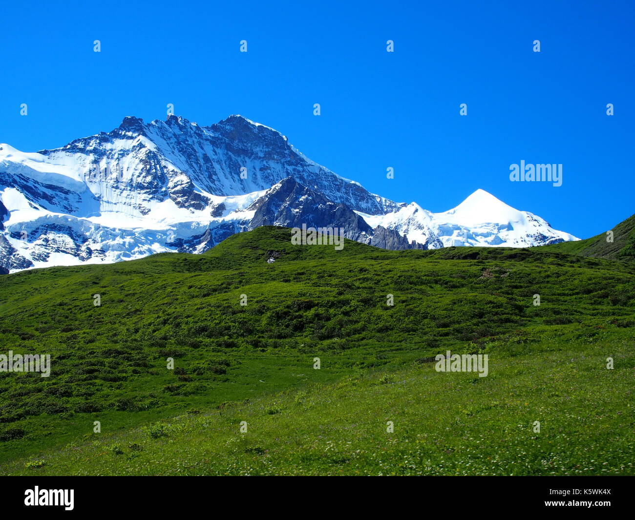 Alpine mountains range landscape near GRINDELWALD village in beauty ...