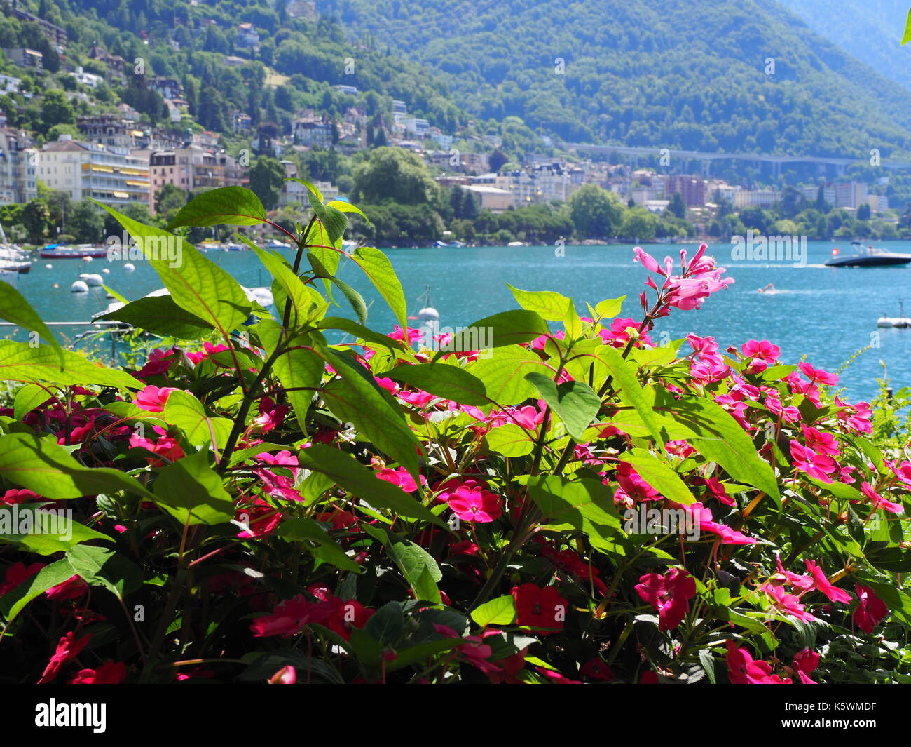 Geneva Gardens High Resolution Stock Photography and Images - Alamy