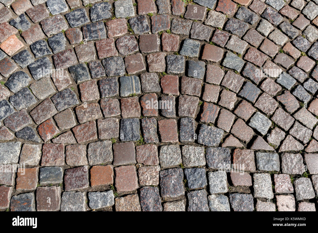 Stone pavement fish scales Stock Photo - Alamy