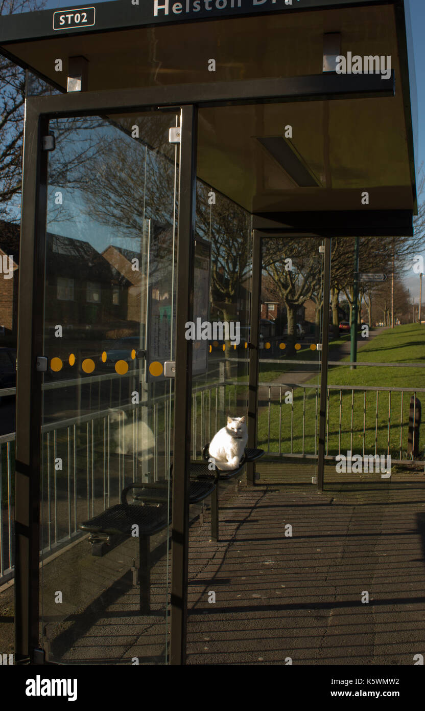 What time is the next bus Stock Photo - Alamy
