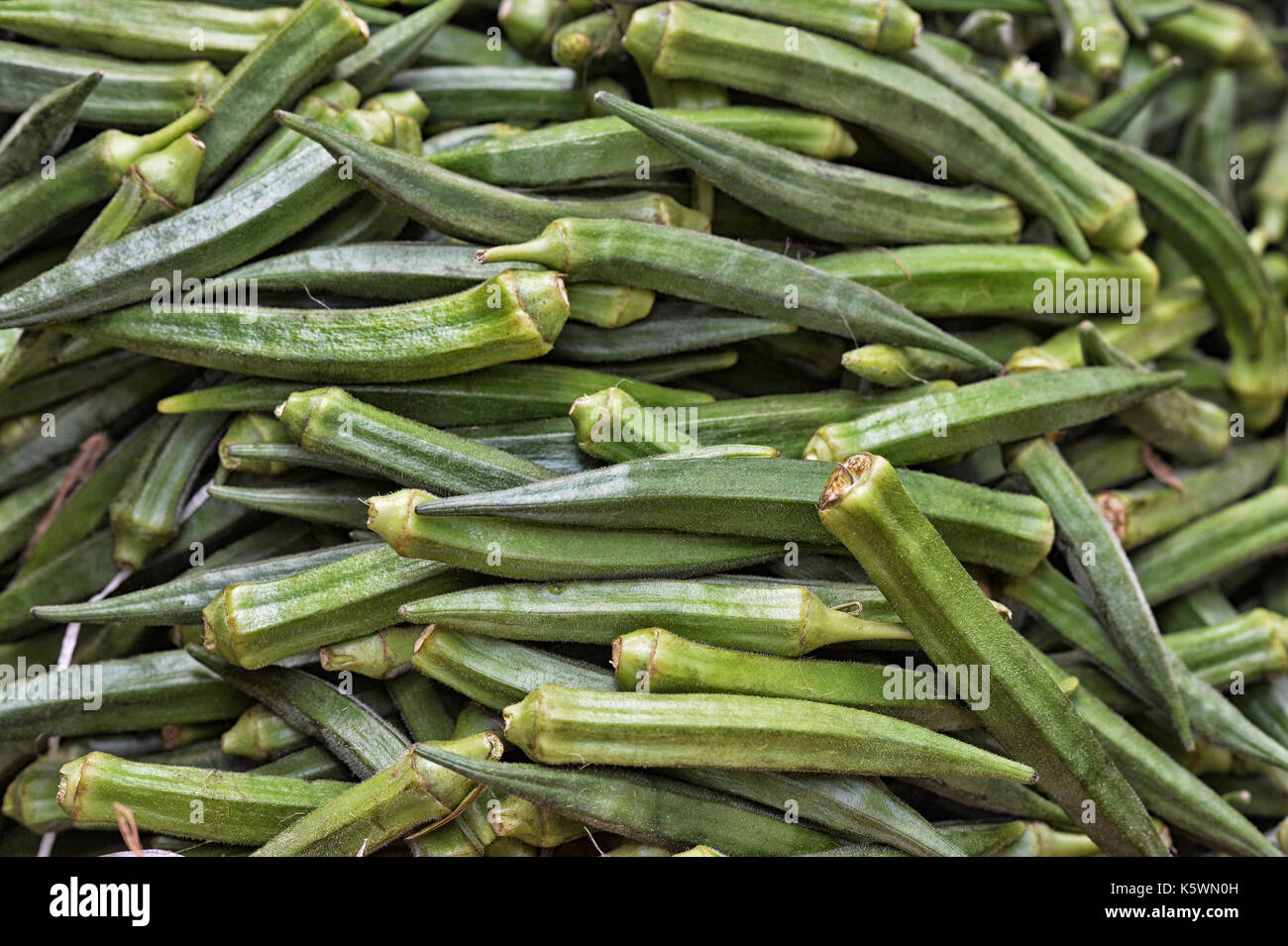 Stack of green fresh okras Stock Photo - Alamy