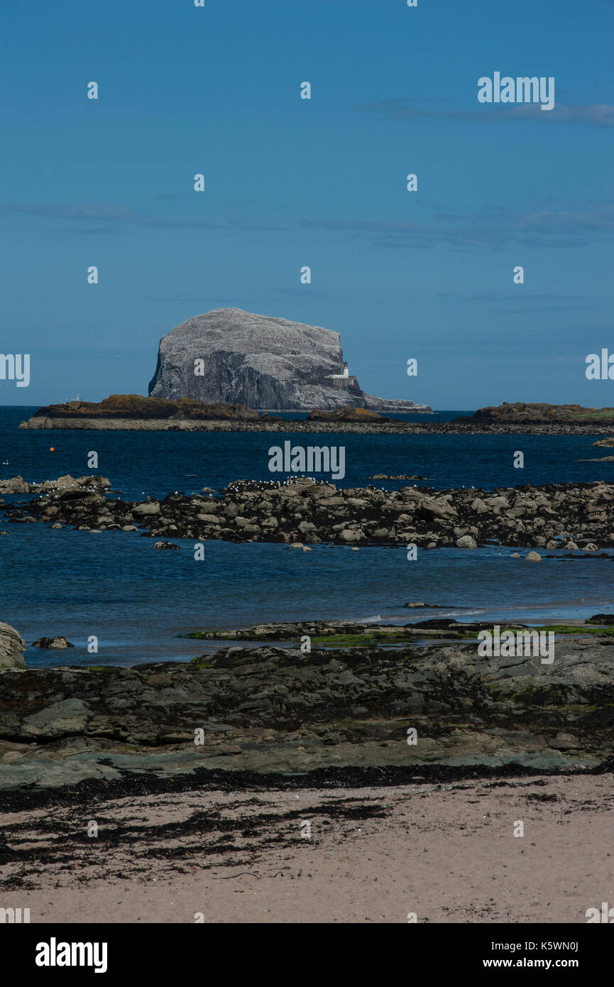 The Bass Rock Stock Photo - Alamy
