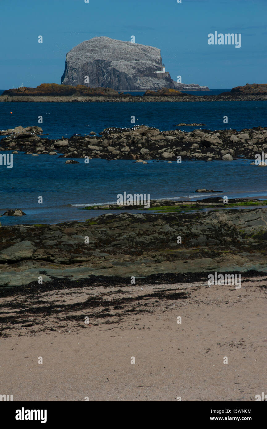 The Bass Rock Stock Photo - Alamy