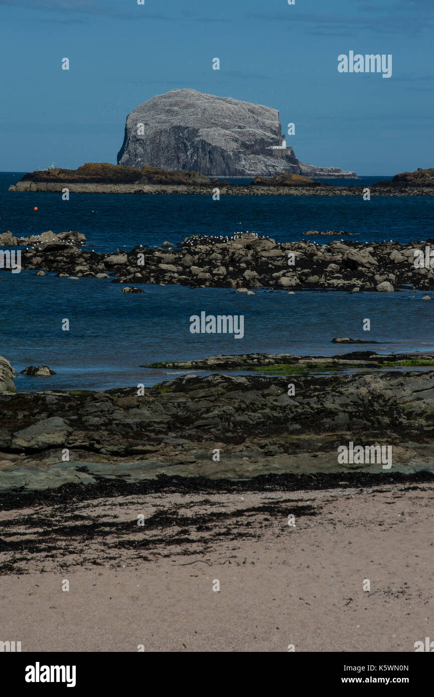 The Bass Rock Stock Photo - Alamy