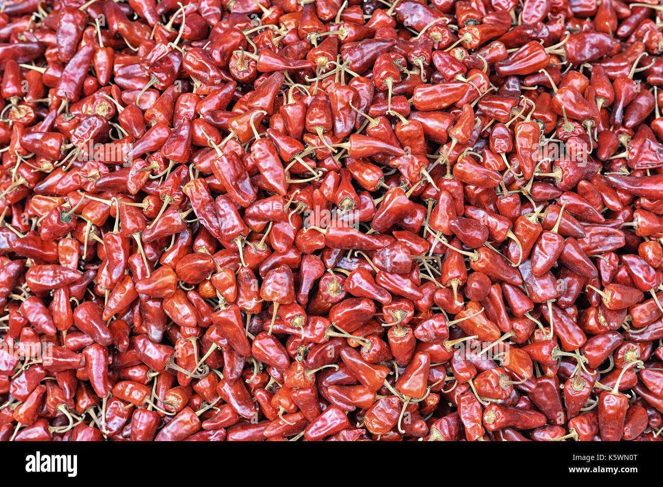 Dried up crop hi-res stock photography and images - Alamy