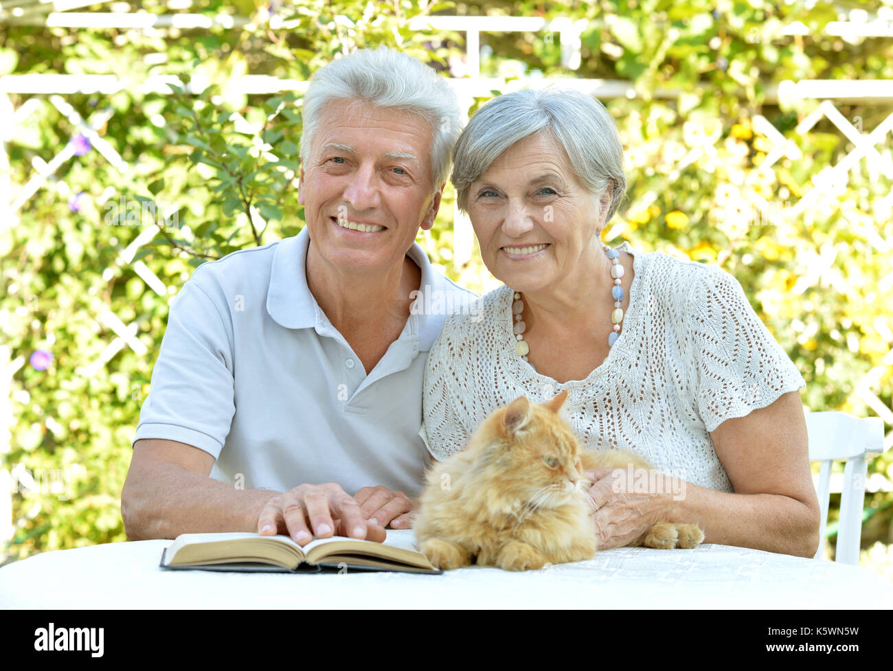 Cute couple cat hi-res stock photography and images - Alamy