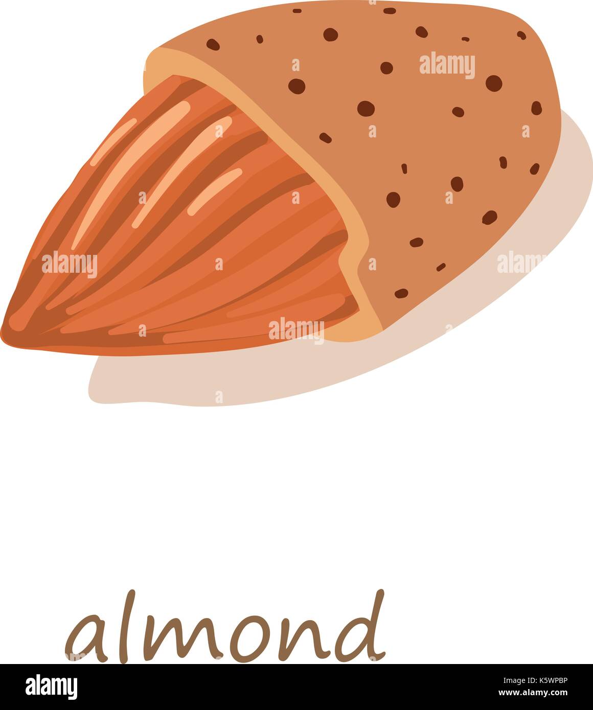 Almond icon, isometric 3d style Stock Vector Image & Art - Alamy