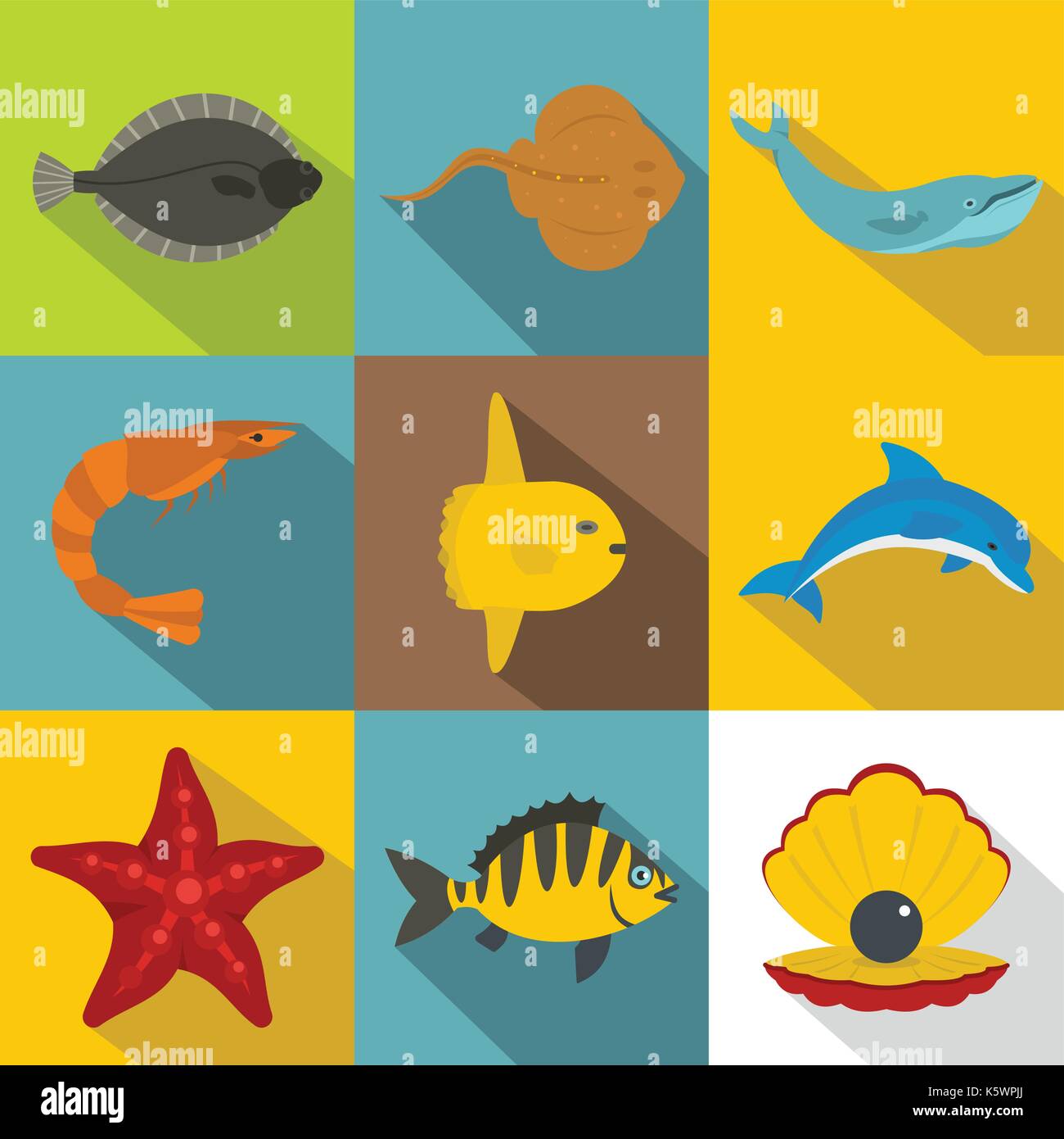 Dolphin underwater face Stock Vector Images - Alamy