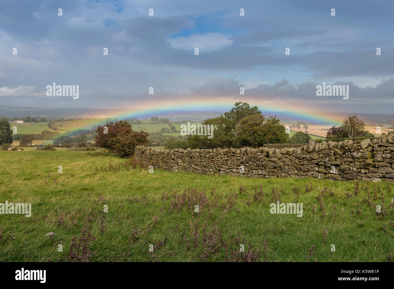 Barningham hi-res stock photography and images - Alamy