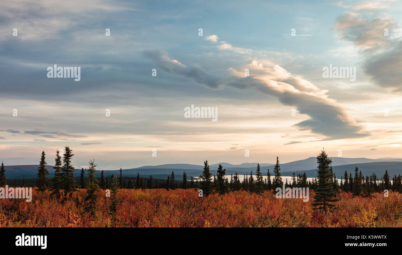 Fall colors contrast with the sunset sky over Paxson Lake in Interior ...
