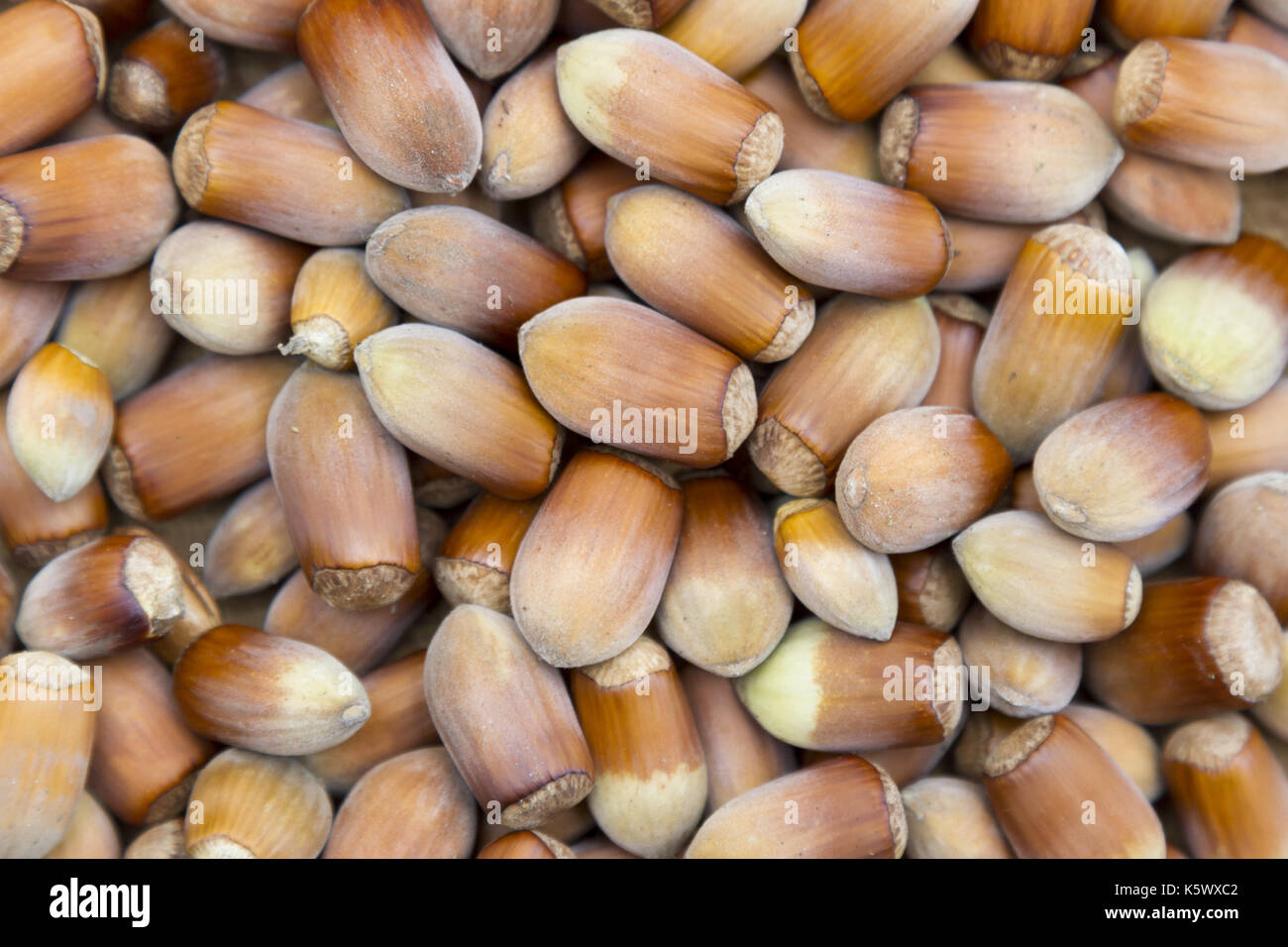 Stack of hazelnuts. Hazelnut background Stock Photo - Alamy
