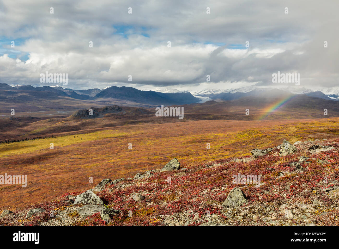 Fall colors in alpine tundra hi-res stock photography and images - Alamy