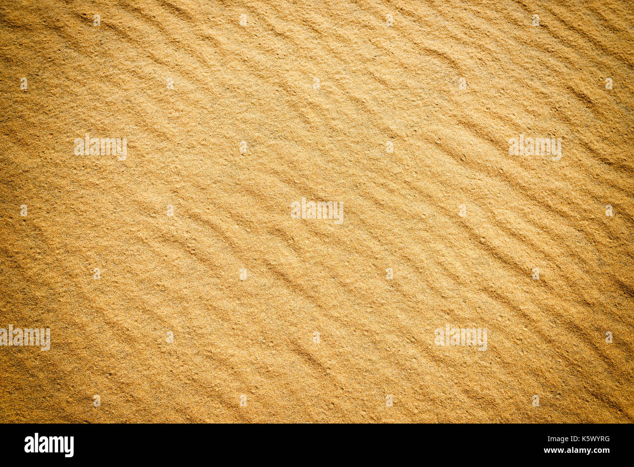 Top view of a sand sea bottom for background and texture with vignette ...