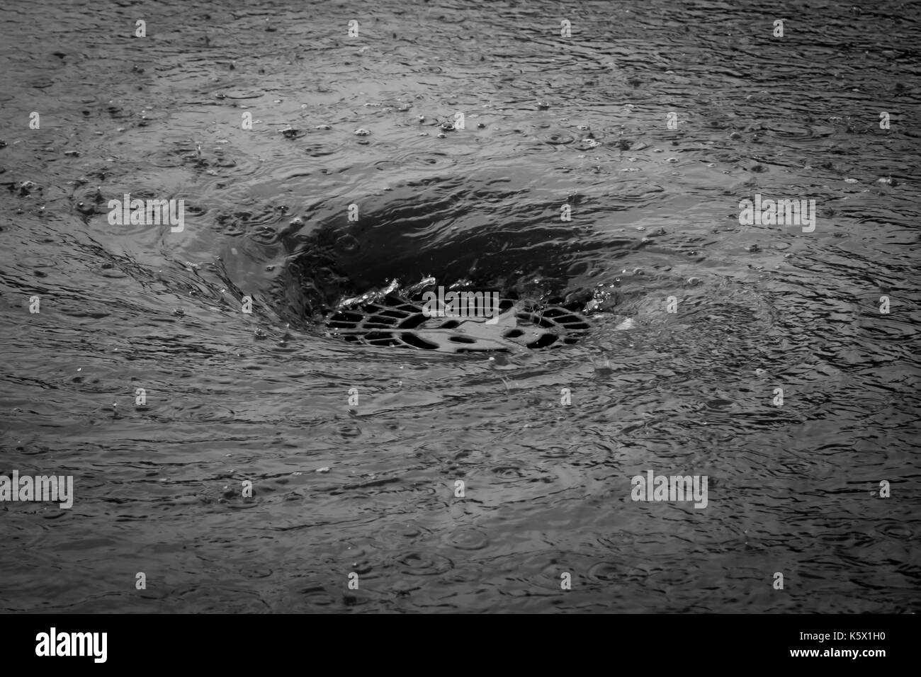 Water drain vortex hi-res stock photography and images - Alamy