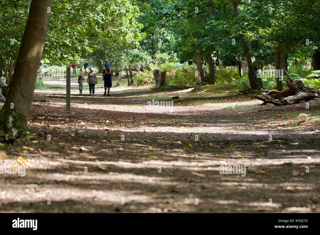 A family enjoying a stroll on a woodland path Stock Photo - Alamy