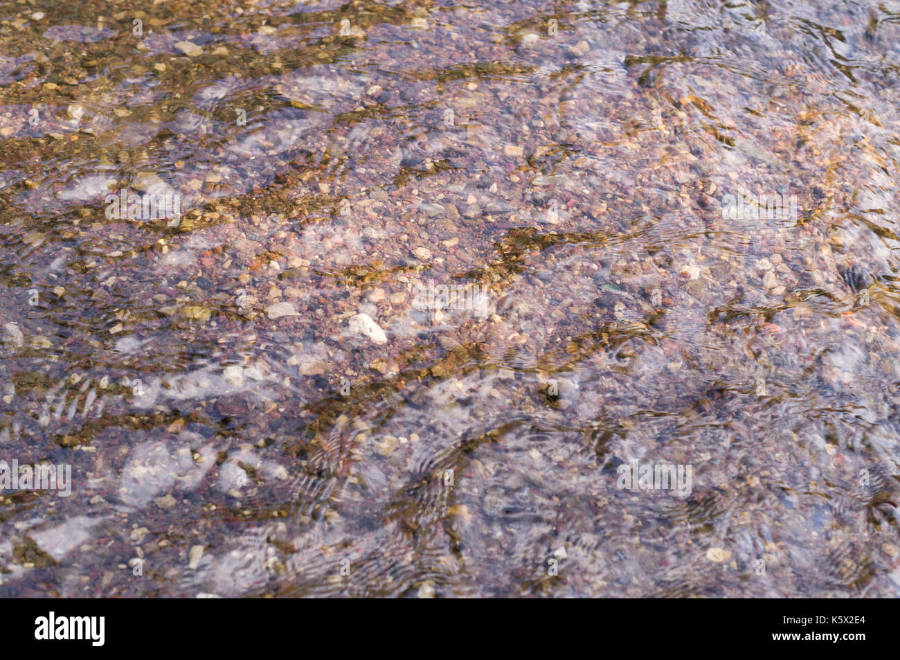 River Bottom Texture