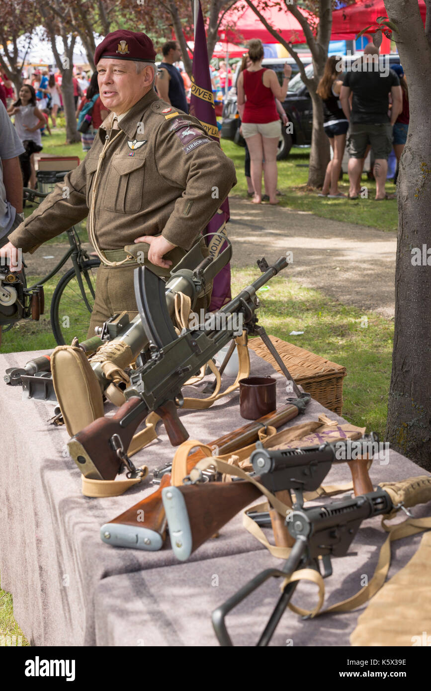 A collector show his collection of Military arms Stock Photo - Alamy