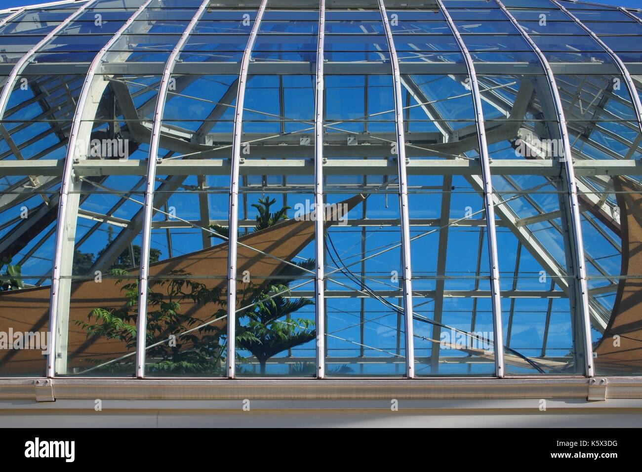 Roof and curtains at the Tropical Greenhouse at the Central ...