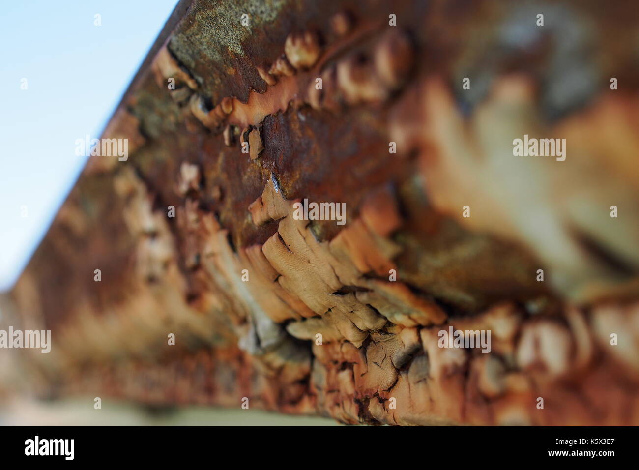 Rusted trough hi-res stock photography and images - Alamy