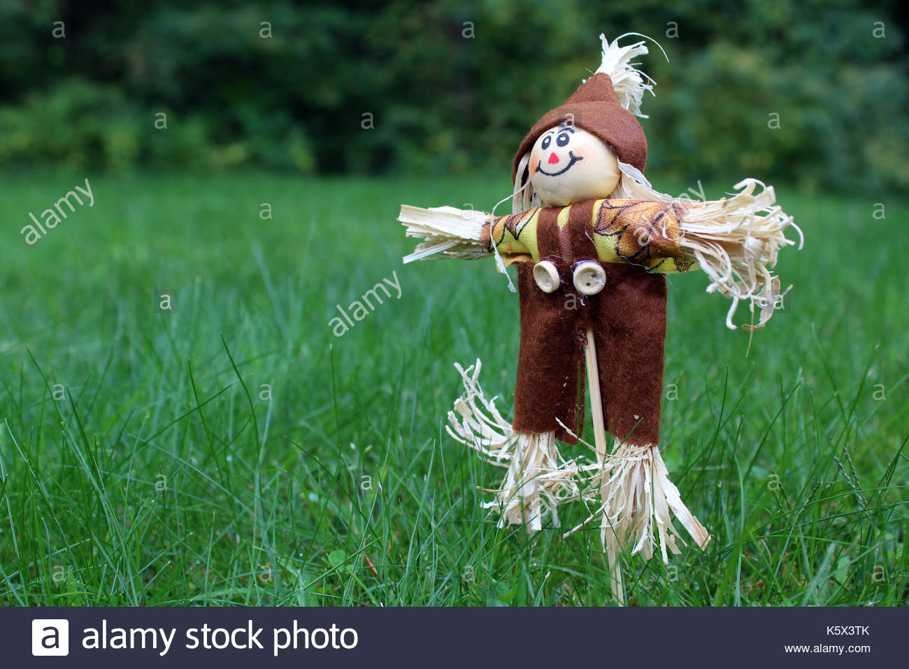 Scarecrow In Corn Field High Resolution Stock Photography and Images ...