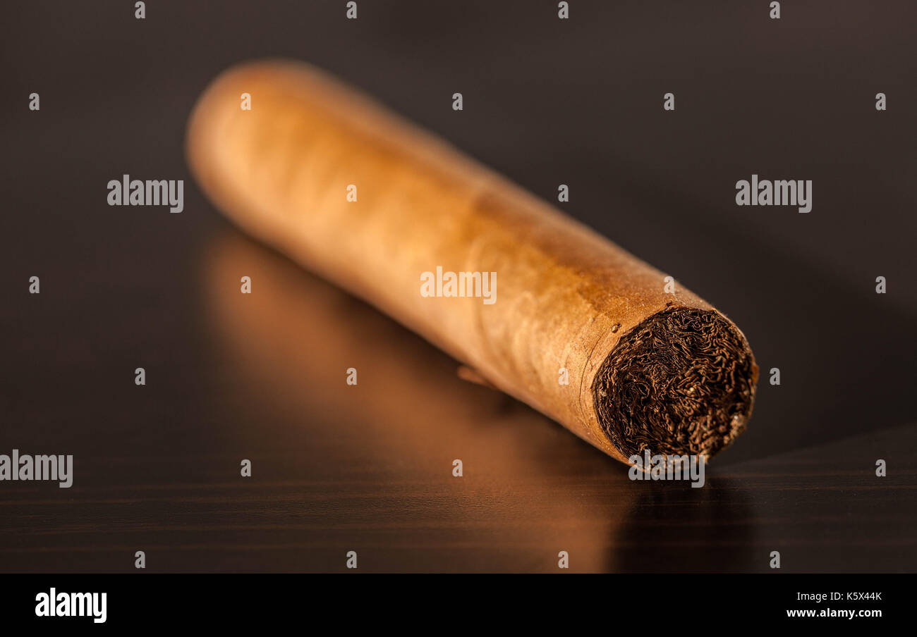 Cuban cigar end Stock Photo - Alamy