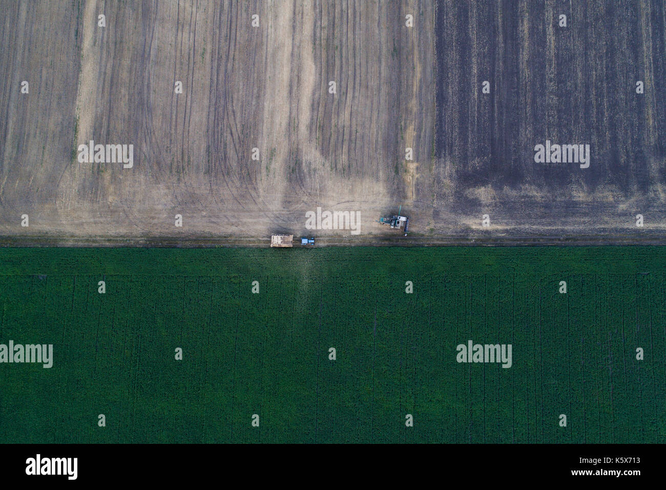 Aerial view of the combine harvester, which pours the grain into the ...