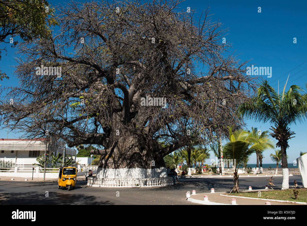 Majunga hi-res stock photography and images - Alamy