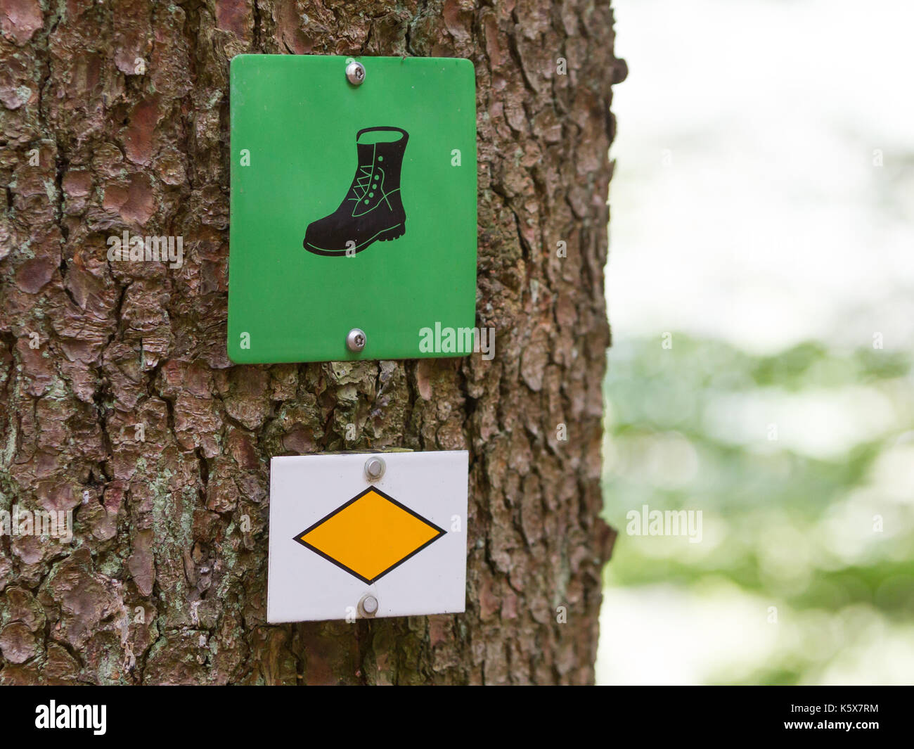 Walking path sign in a tree in Germany - Schwarzwald Stock Photo - Alamy