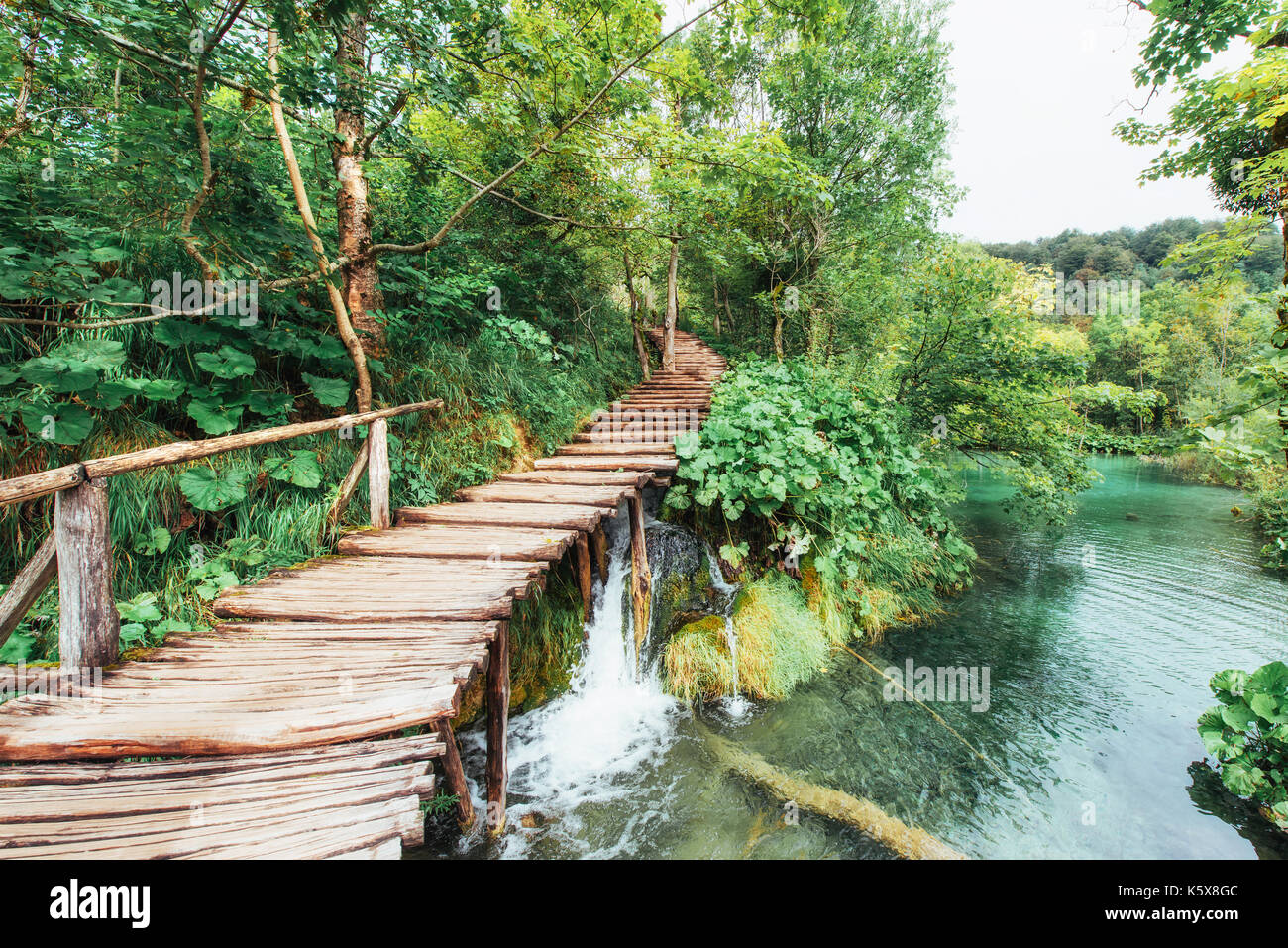 Beautiful waterfall in summer green forest Stock Photo - Alamy