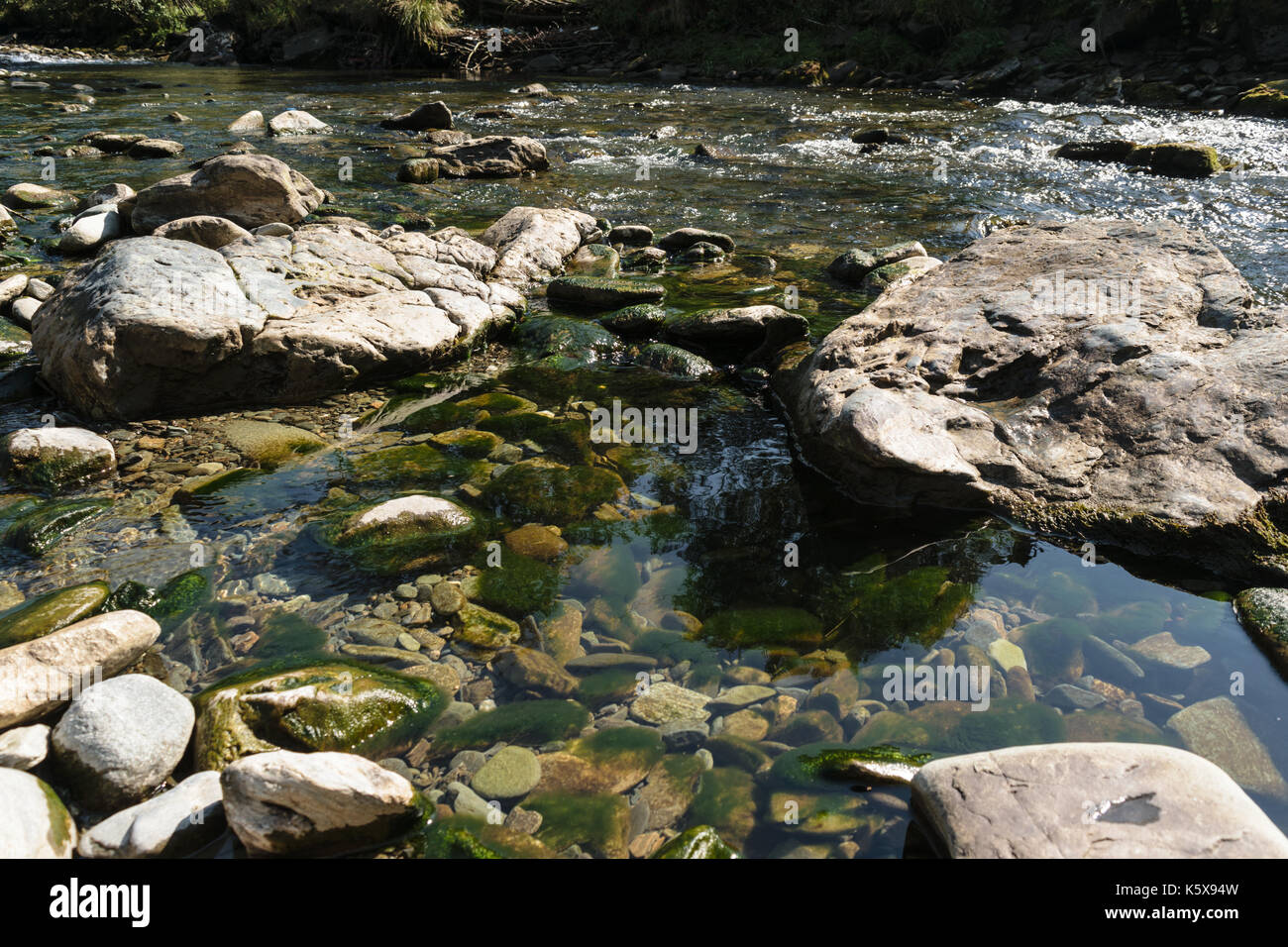 water creek flowing through rocks and puddle showing rocks covered in ...