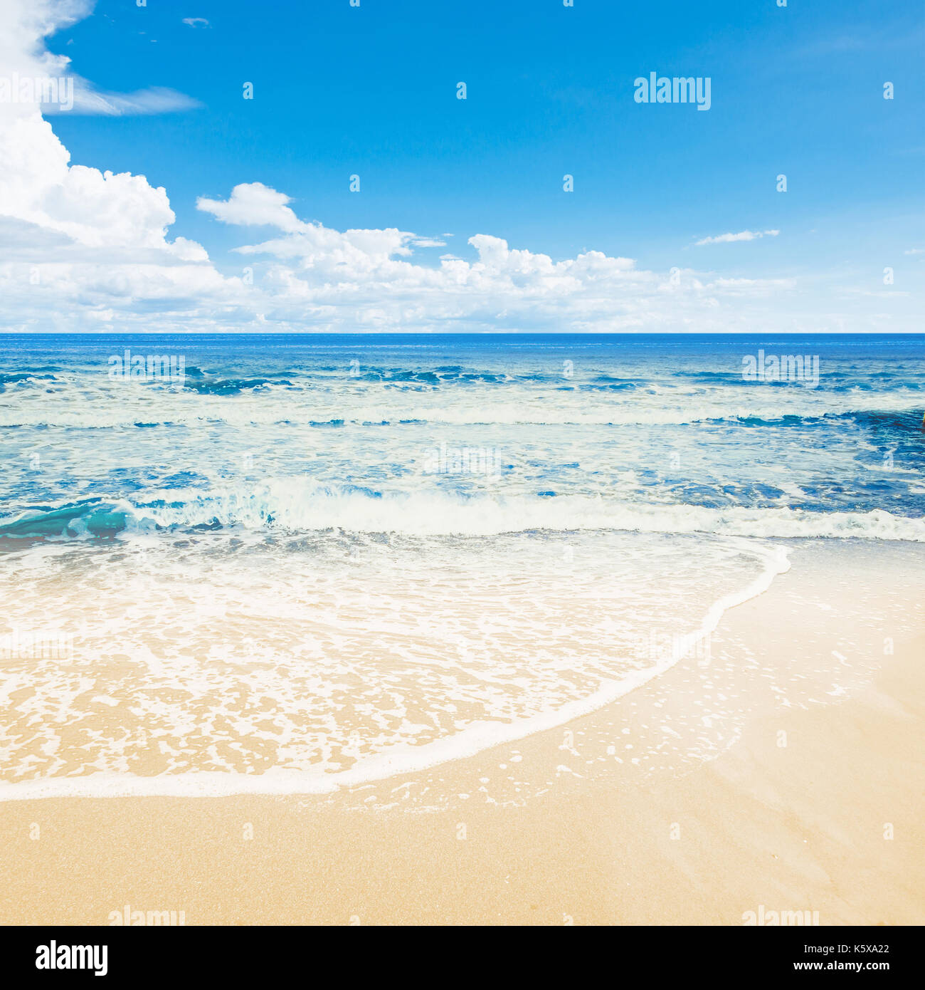 Tropical beach ocean Stock Photo - Alamy
