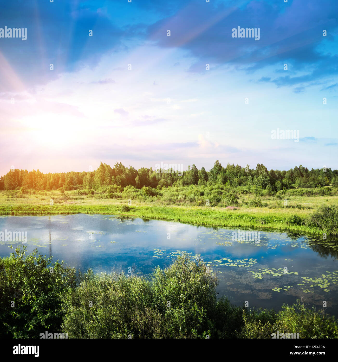 Summer beautiful landscape Stock Photo - Alamy