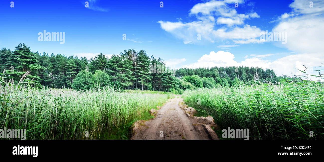 Rural road in field Stock Photo - Alamy