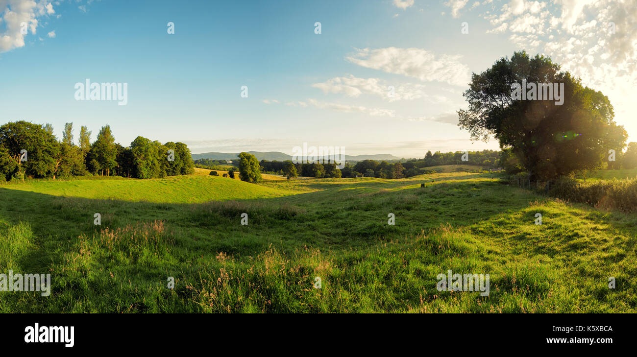 panorama view of summer countryside morning,Northern Ireland Stock ...