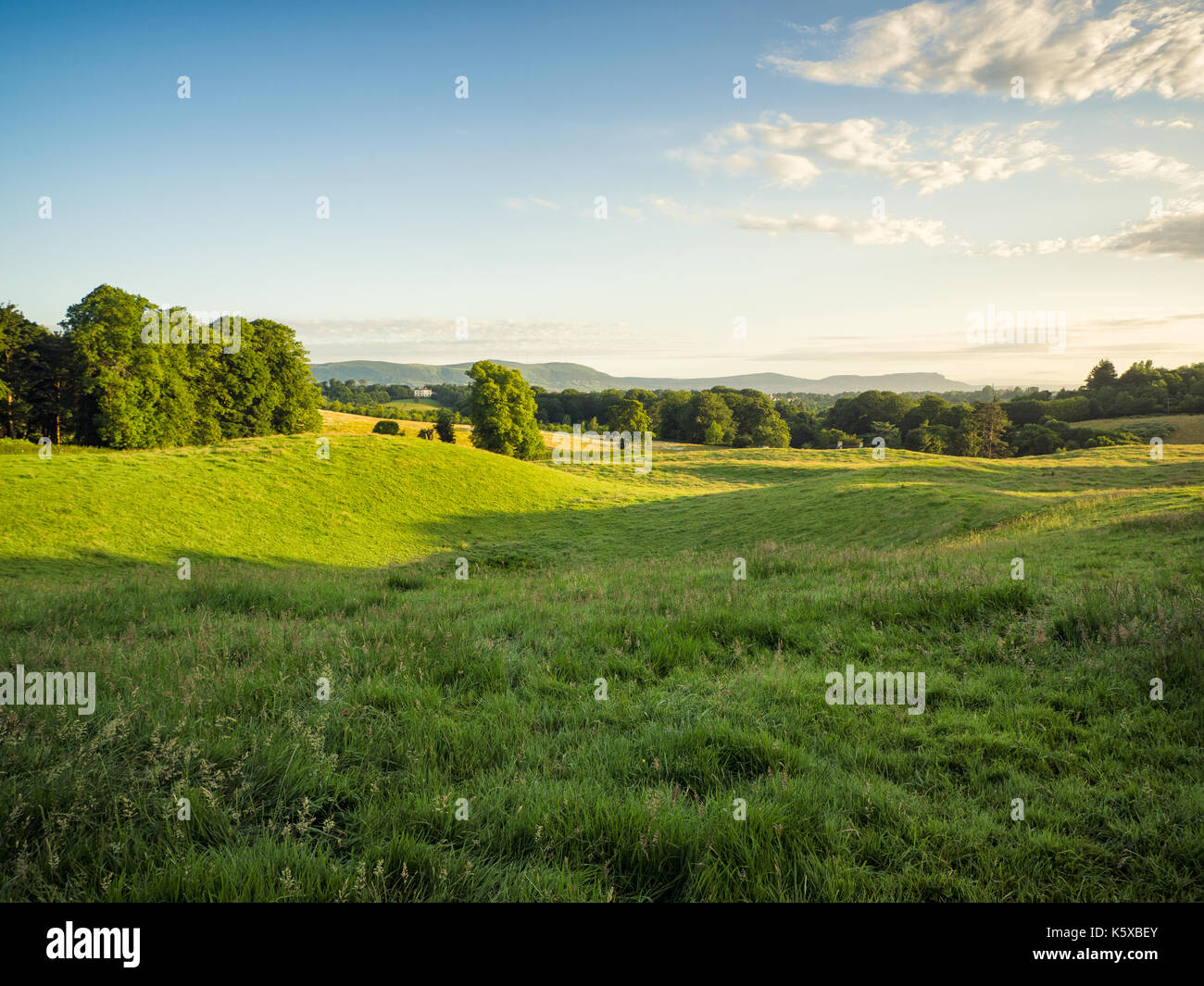 summer countryside morning,Northern Ireland Stock Photo - Alamy