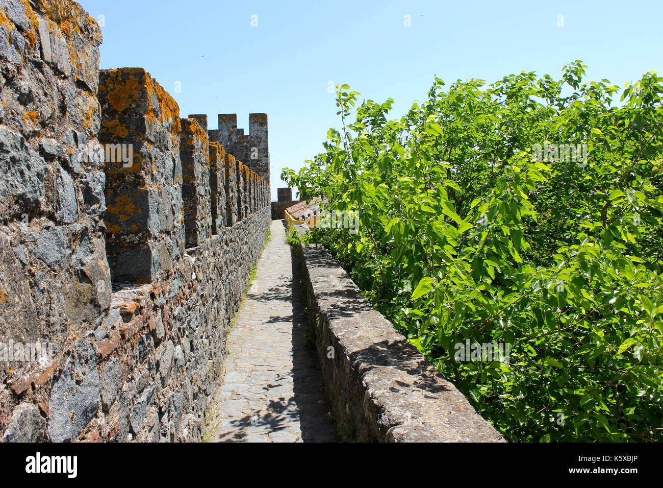 The Castle of Beja, a medieval castle in the Portuguese city of Beja ...