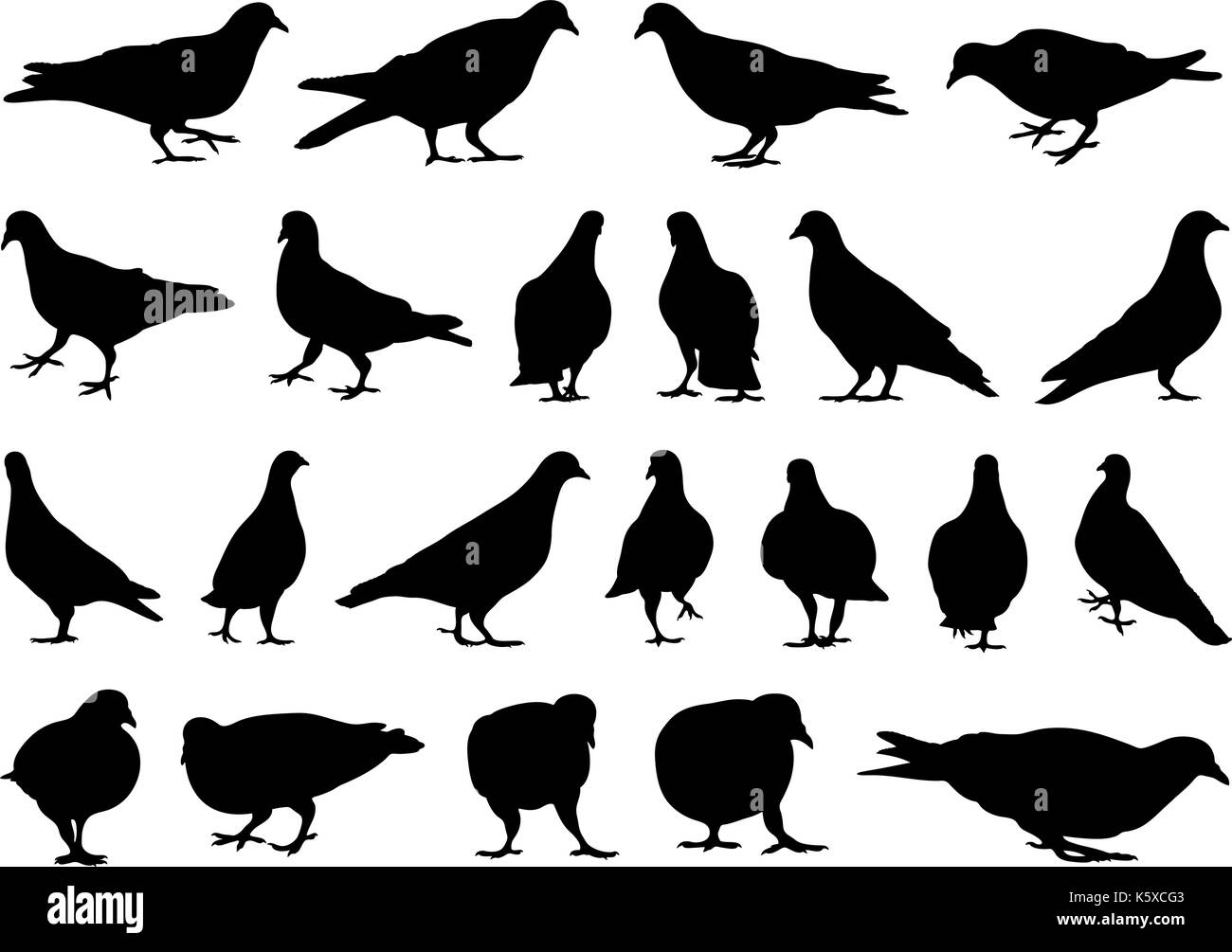 Illustration of different doves isolated on white Stock Vector Image ...