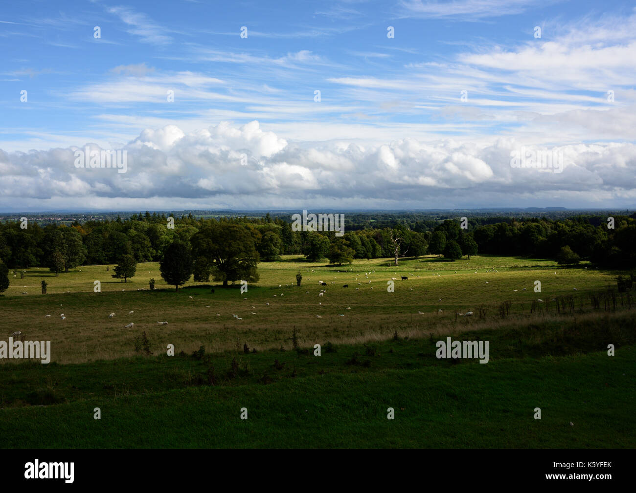 Cumulus Humilis Clouds High Resolution Stock Photography and Images - Alamy