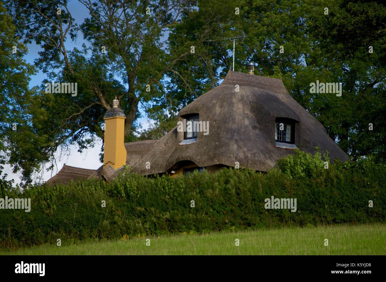 Tumbly Cottage. A Thatched Traditional Country Home. Holne Wood ...