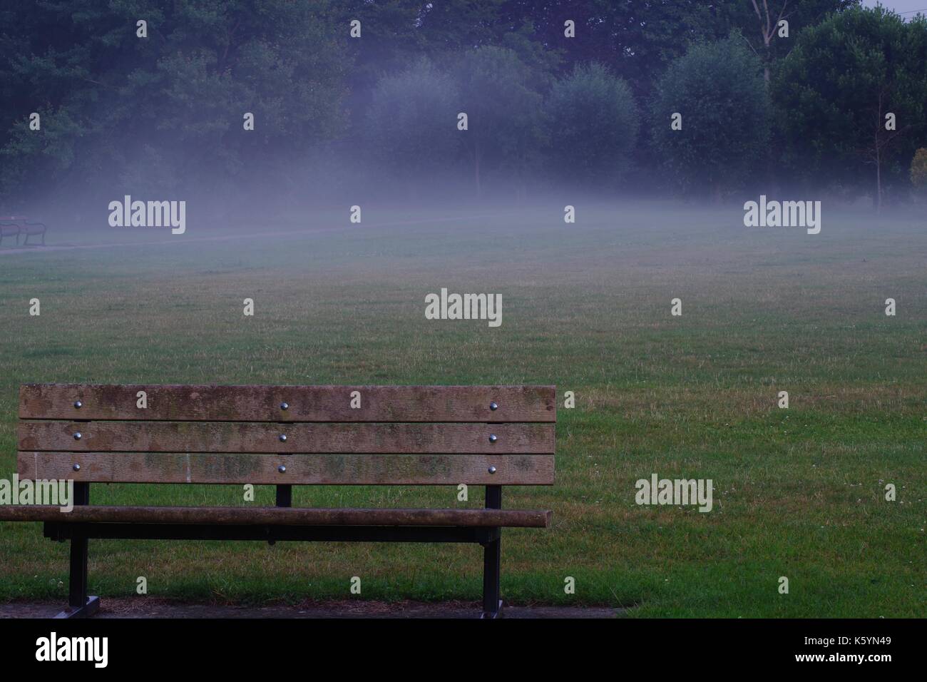 Evening Mist Hangs over Duckes Meadow Park, Salmon Pool, St James Weir ...