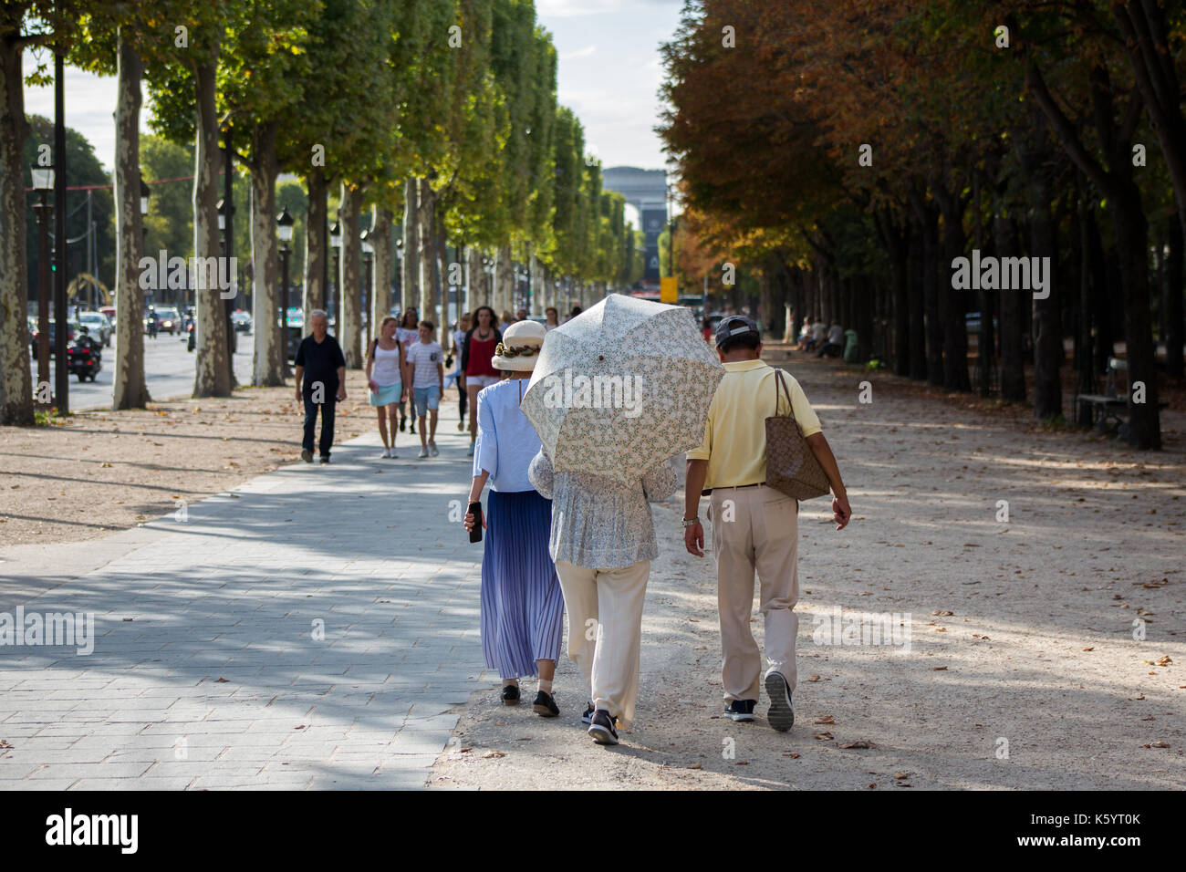 Walking tree hi-res stock photography and images - Alamy