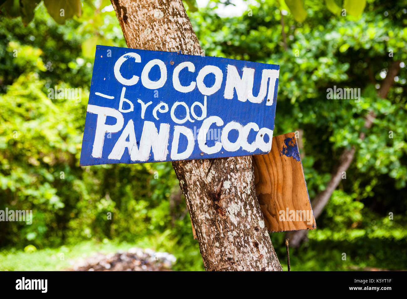 Coconut bread banner Stock Photo - Alamy