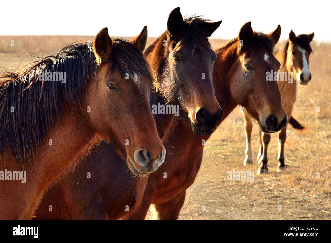 Unimcumbered hi-res stock photography and images - Alamy