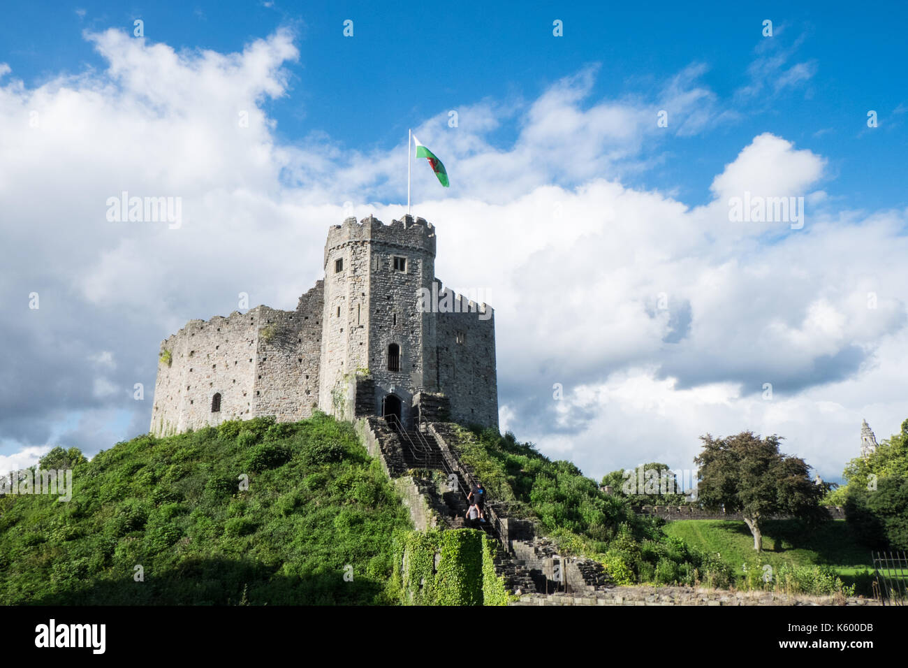 Cardiff city centre flag hi-res stock photography and images - Alamy