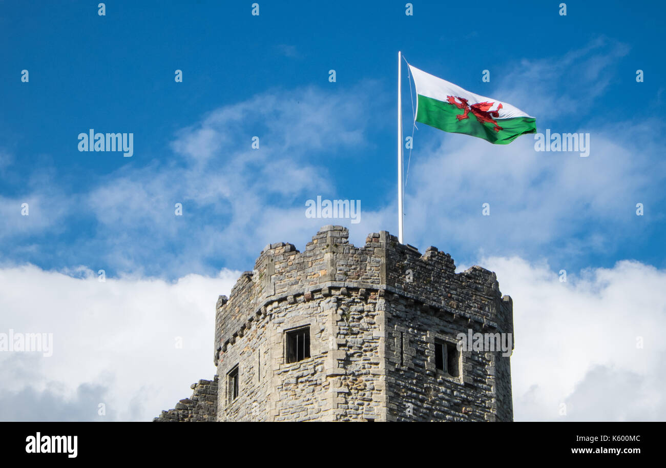 Cardiff city centre flag hi-res stock photography and images - Alamy