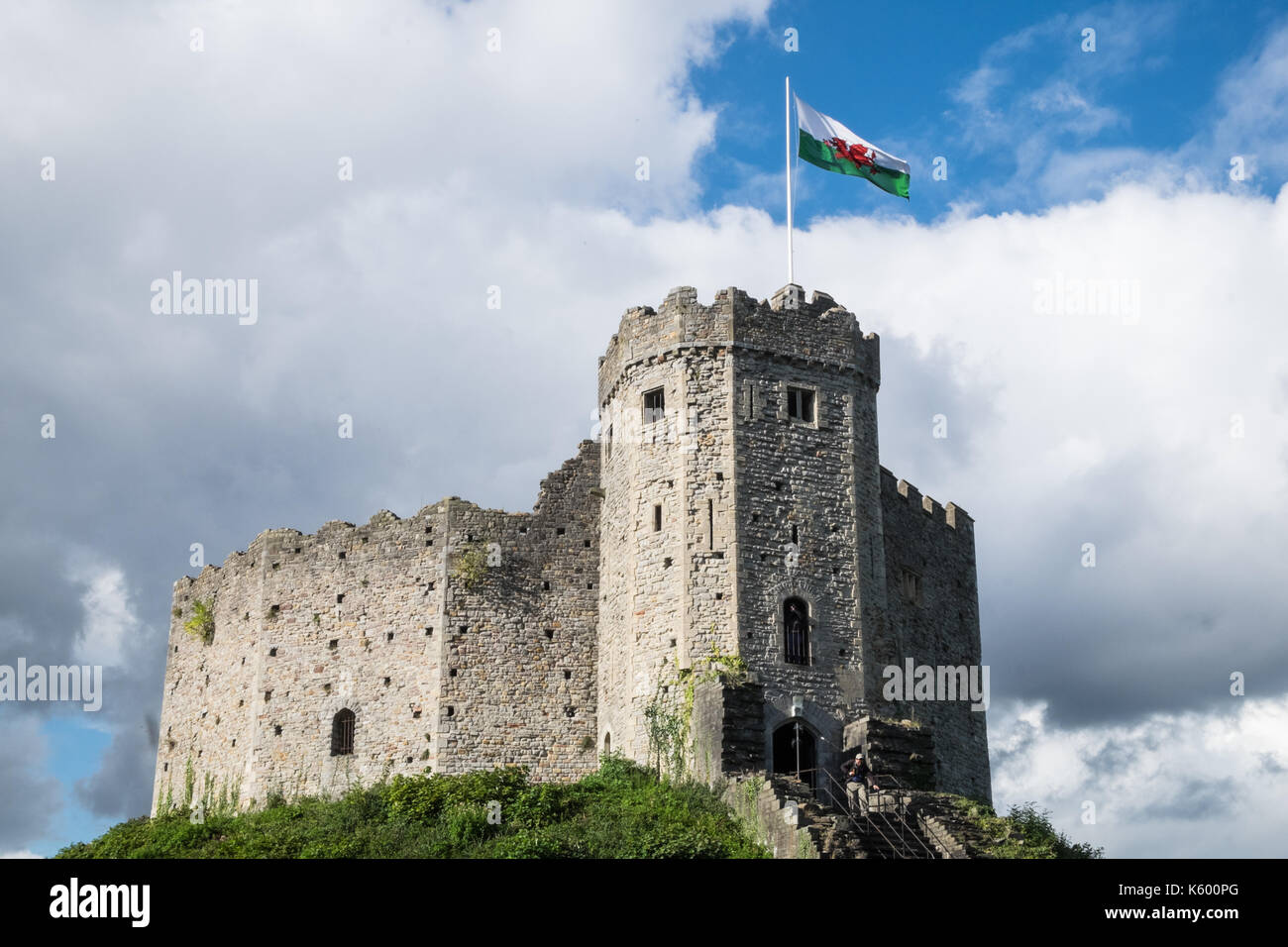 Cardiff city centre flag hi-res stock photography and images - Alamy