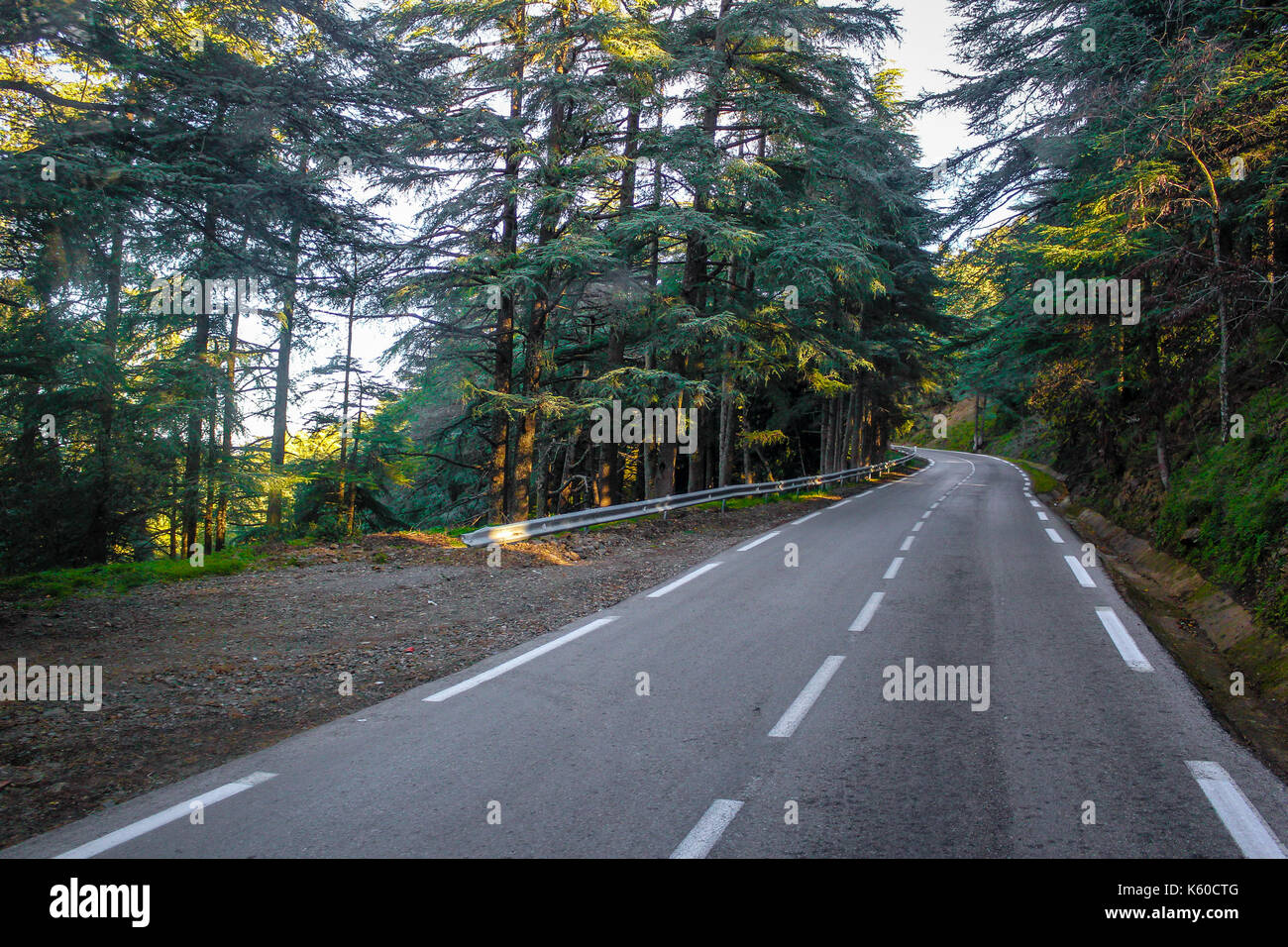 Chrea forest hi-res stock photography and images - Alamy