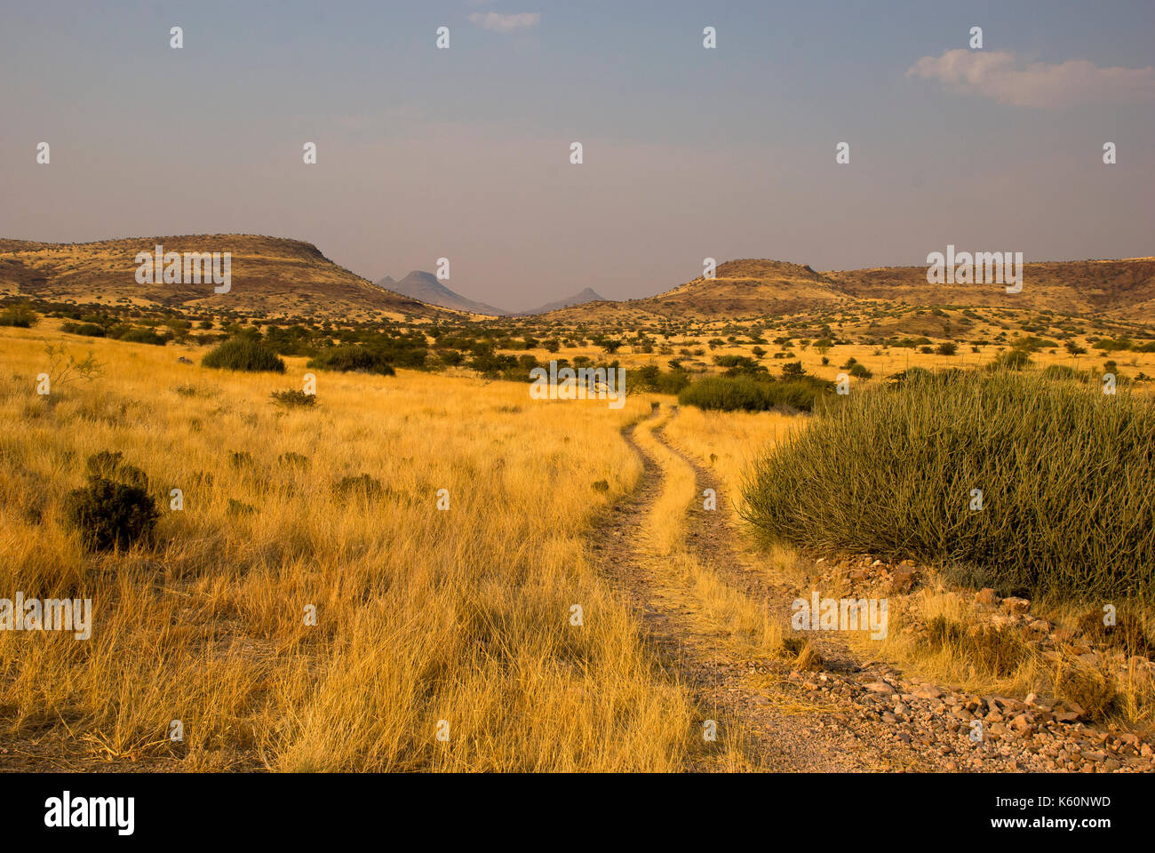 Wild track winding through rolling grass savanah near Palmwag ...